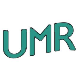 cropped-Icon5_UMR-Logo.jpg | Ultimate Movie Rankings